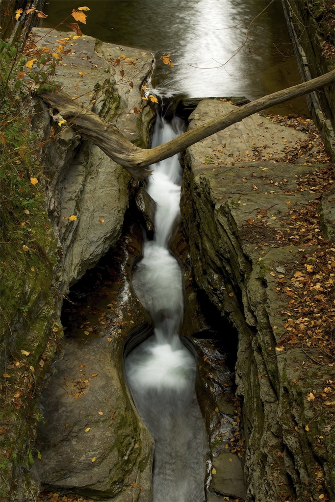 Ithaca - Sarah Blodgett Photography